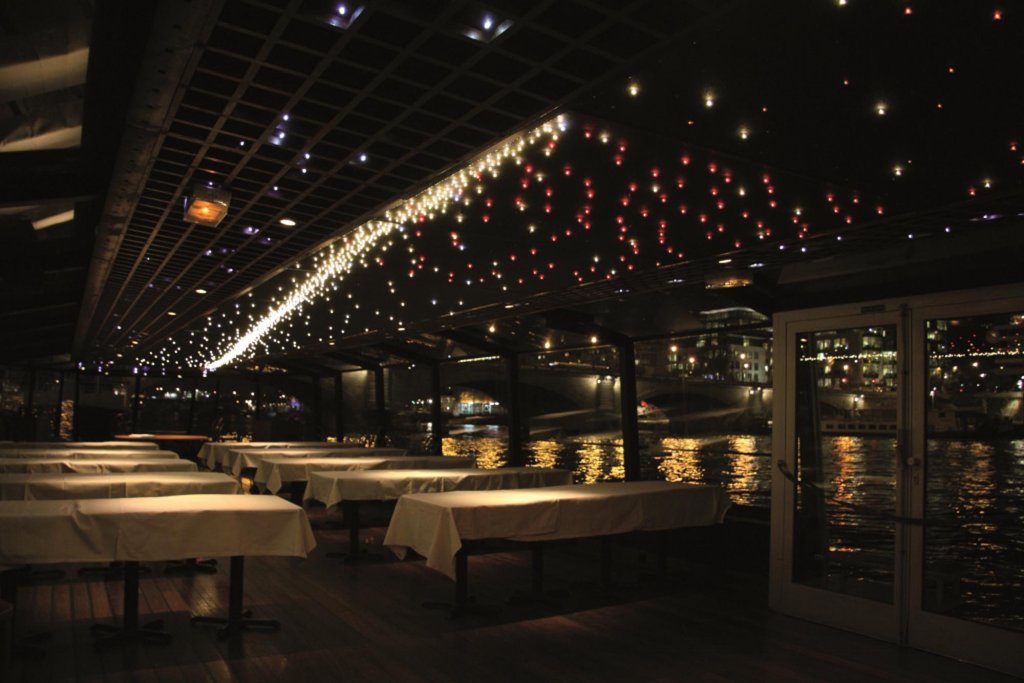 Starlit ceiling or wall, Semeur d'Etoiles - Création lumineuses